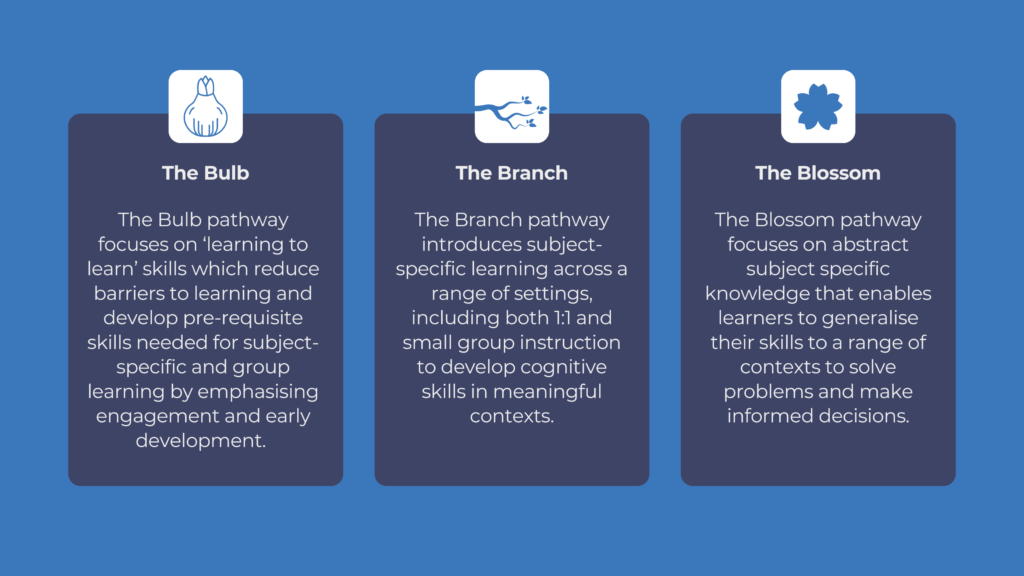 Our curriculum – Snowflake School